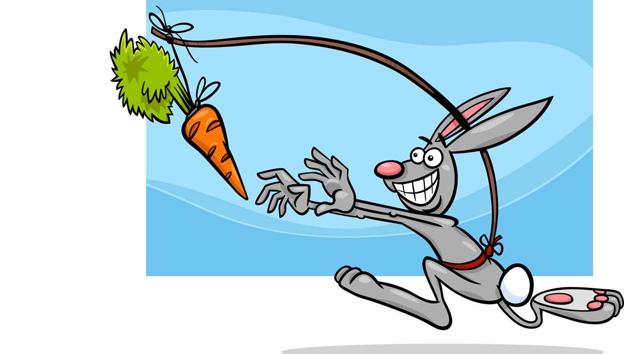 Put a Carrot in Front of Your Bunnies - ist Magazine